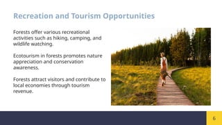 Forest Resources and Causes and advantages .pptx