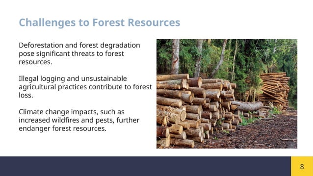 Forest Resources and Causes and advantages .pptx