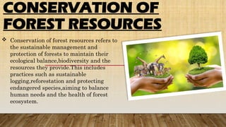 FOREST RESOURCES.pptx importance of forests | PPT