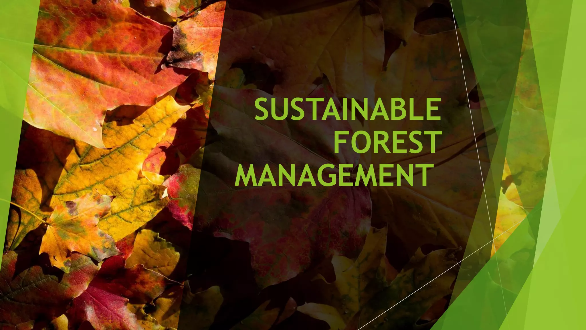 Forest Resources and Management | PDF