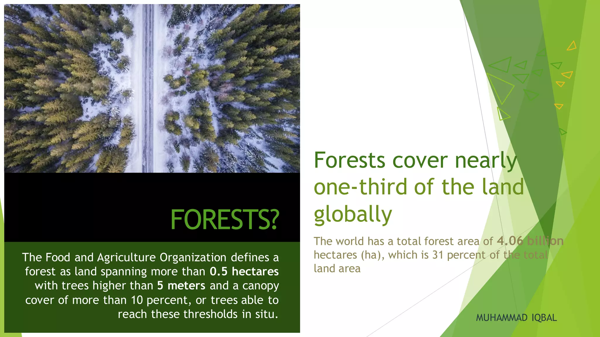 Forest Resources and Management | PDF