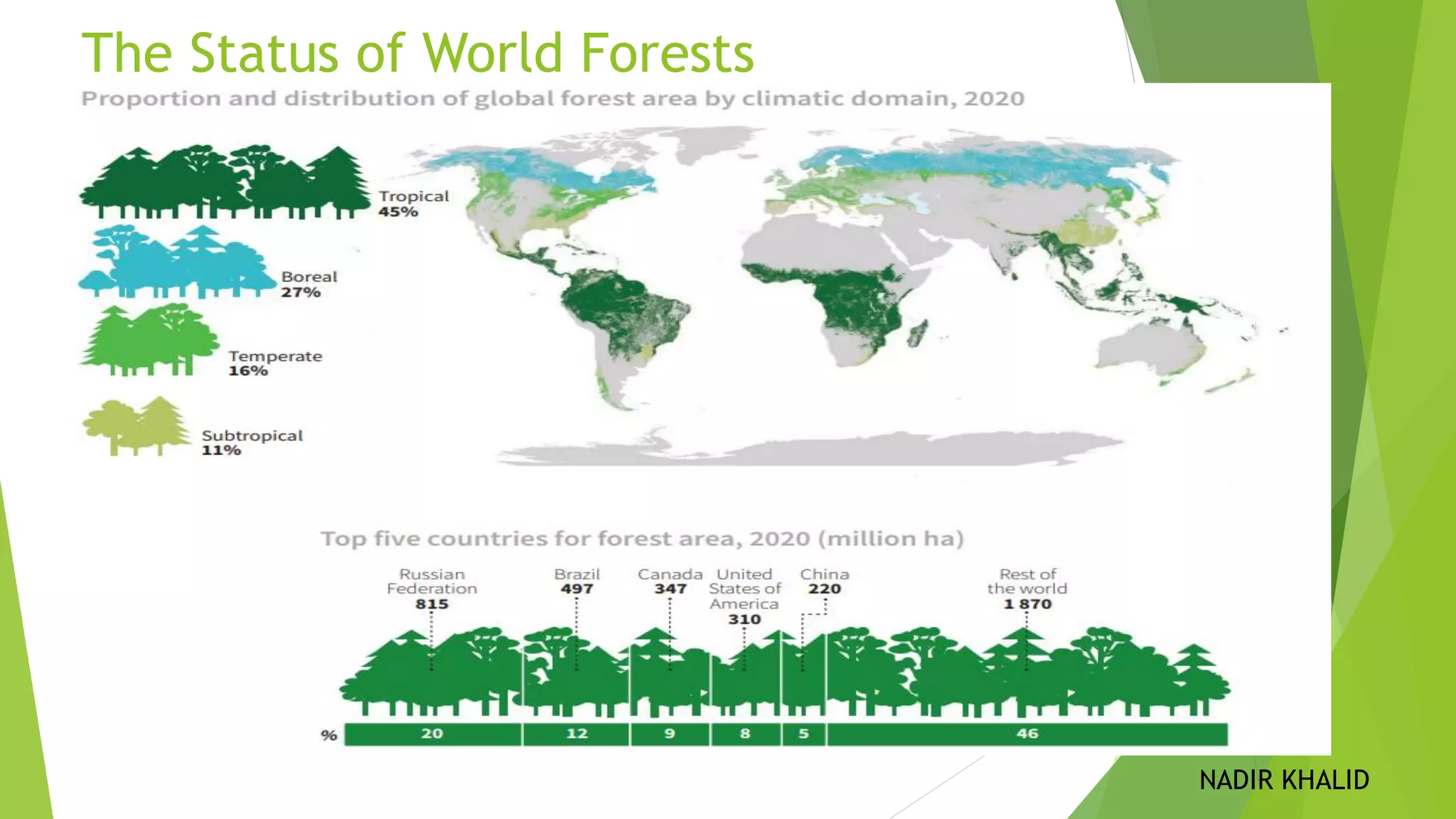 Forest Resources and Management | PDF
