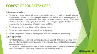 Forest Resources and Management | PDF