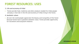 Forest Resources and Management | PDF
