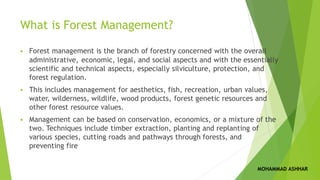 Forest Resources and Management | PDF
