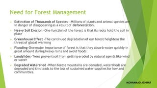 Forest Resources and Management | PDF