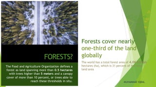Forest Resources and Management | PDF