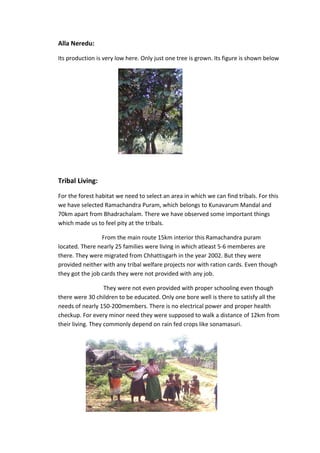 Forest resources & its habitat | DOC