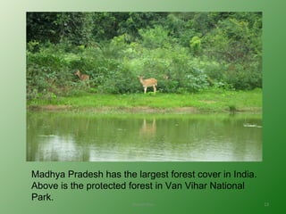 Forest resources of india | PPT