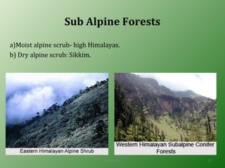 Forest resources of india | PPT