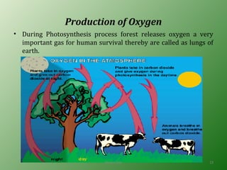 Forest resources of india | PPT