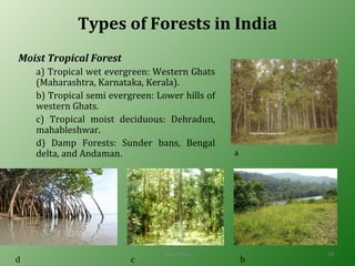Forest resources of india | PPT