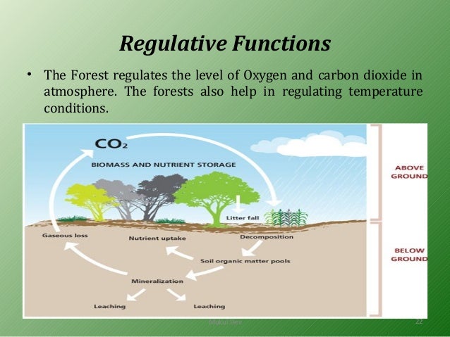 Forest resources of india