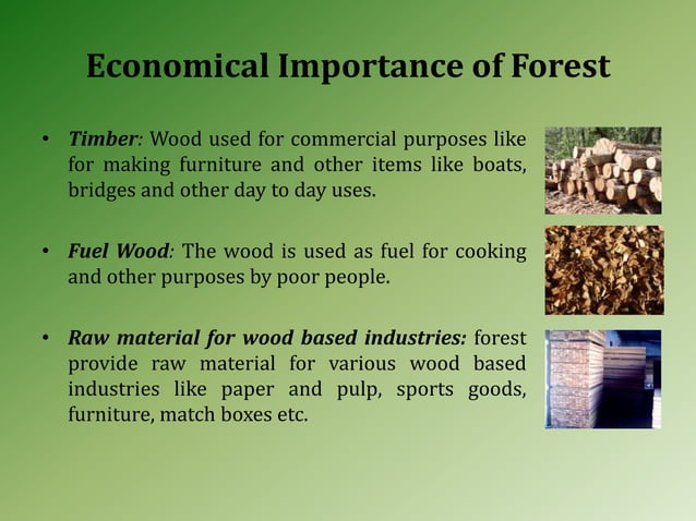 forest resources ppt.pptx
