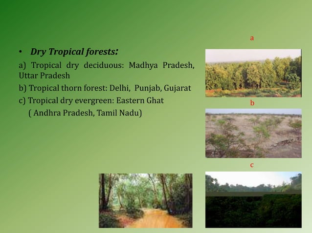 forest resources ppt.pptx