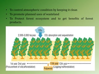 forest resources ppt.pptx