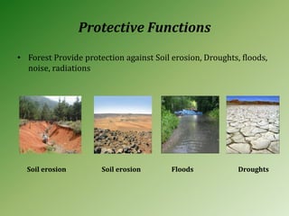forest resources ppt.pptx