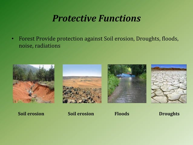 forest resources ppt.pptx