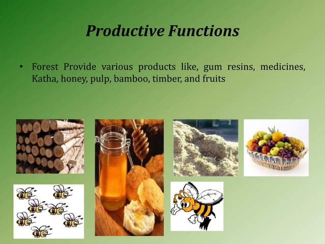 forest resources ppt.pptx