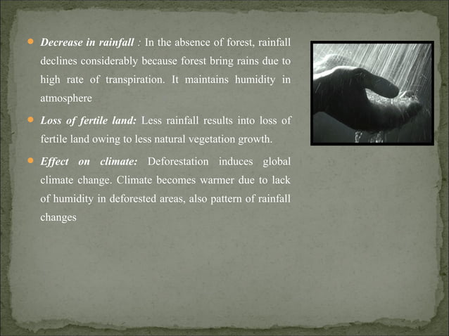 Forest resourse | PPT