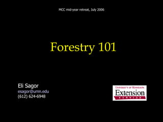 Minnesota Forestry 101 | PPT