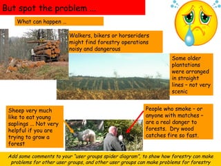 Forestry | PPT