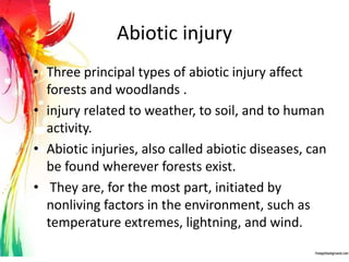 injuries to forest and biotic,abiotic agencies | PPTX