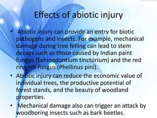 injuries to forest and biotic,abiotic agencies | PPTX