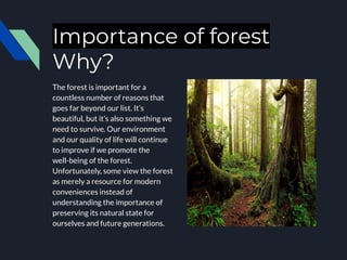 Forestry, importance of forestry, Benefits of forestry | PDF