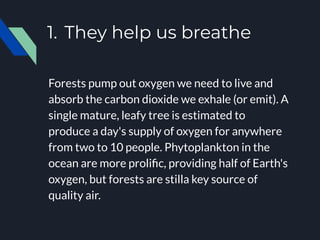 Forestry, importance of forestry, Benefits of forestry | PDF
