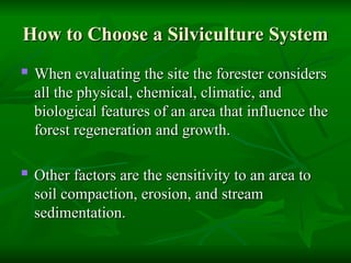 Forestry-Basics.ppt presentation of forest | PPT