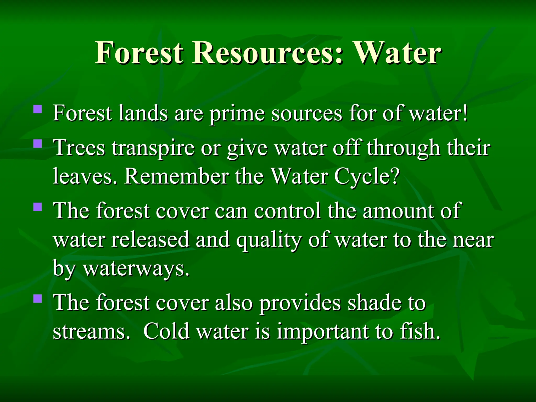 Forestry Basics Ppt Students Presentation Ppt