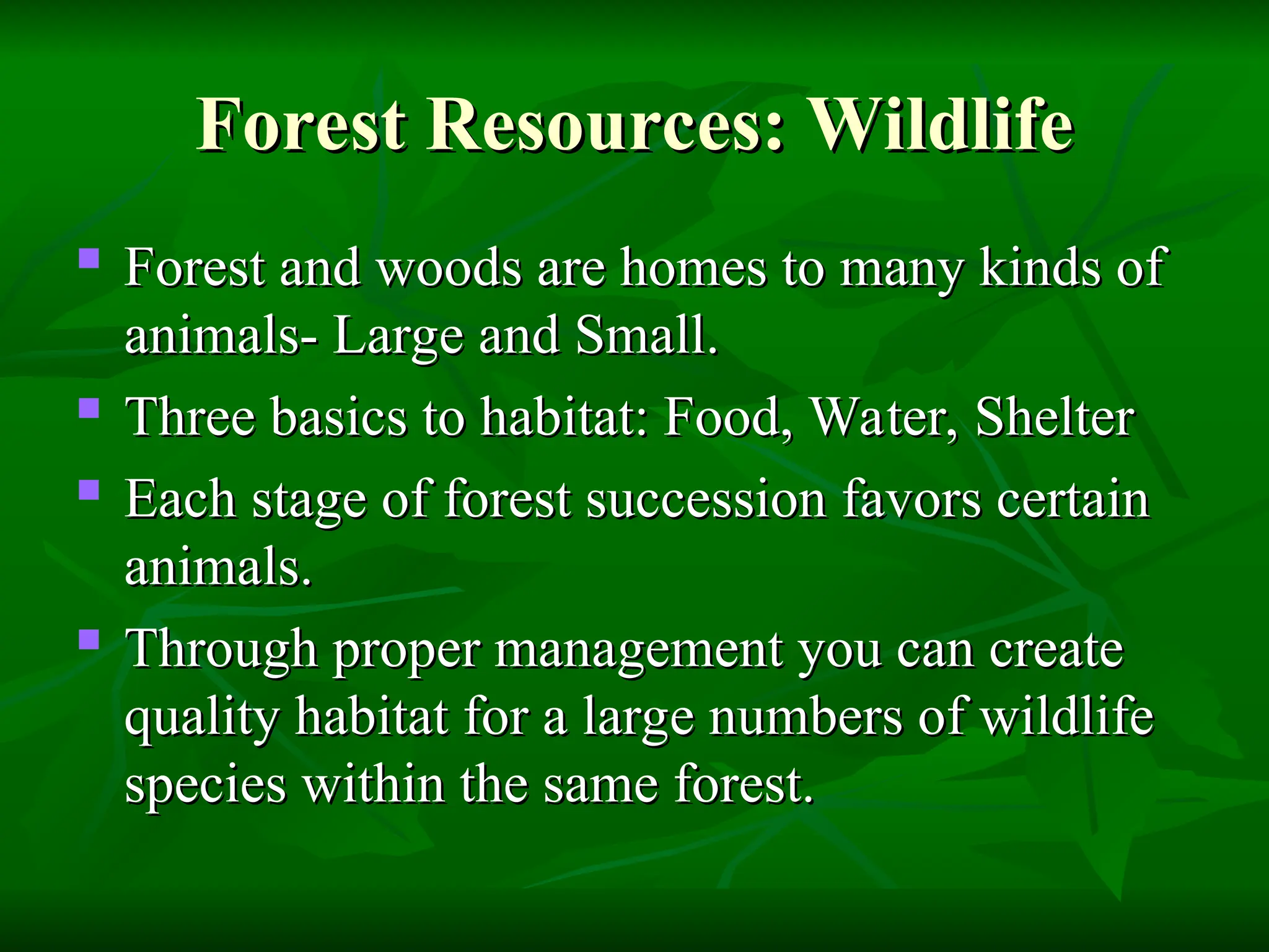 Forestry-Basics.ppt students presentation | PPT