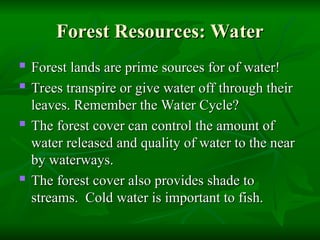 Forestry-Basics.ppt students presentation | PPT