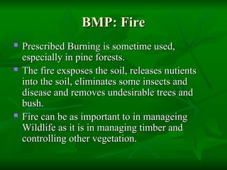 Forestry-Basics.ppt students presentation | PPT