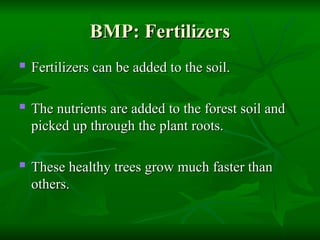 Forestry-Basics.ppt students presentation | PPT