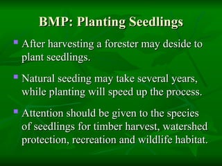 Forestry-Basics.ppt students presentation | PPT