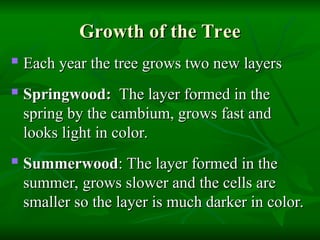 Forestry-Basics.ppt students presentation | PPT