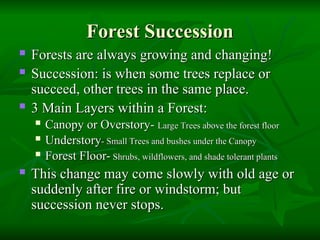 Forestry-Basics.ppt students presentation | PPT