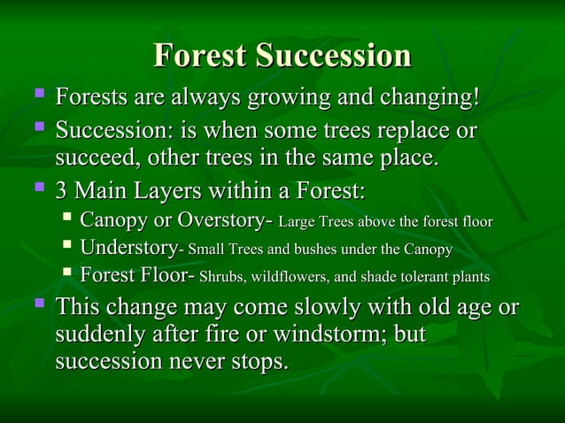 Forestry Basics Ppt Students Presentation Ppt