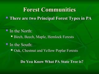 Forestry-Basics.ppt students presentation | PPT