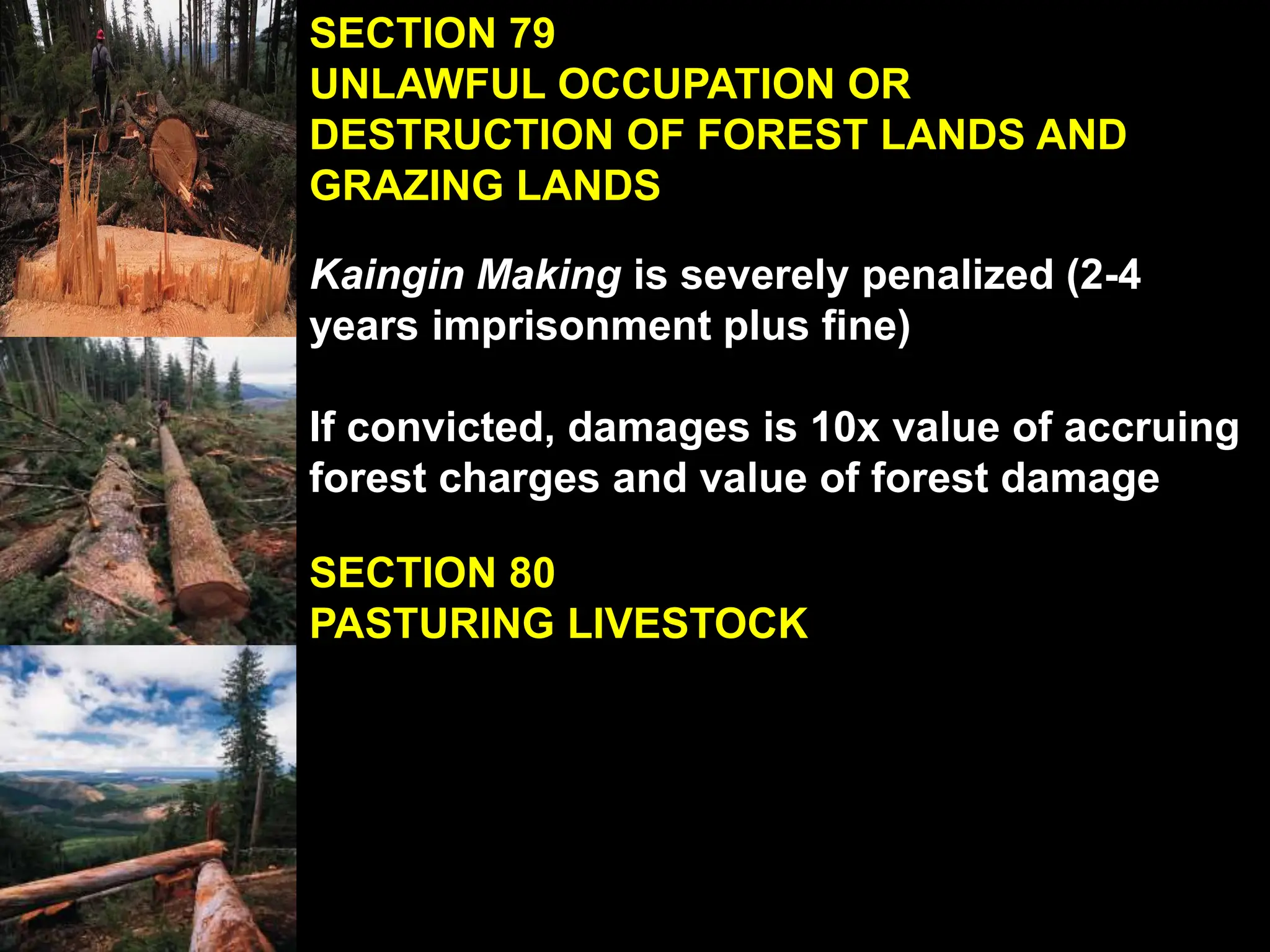 Forestry-Laws.ppt