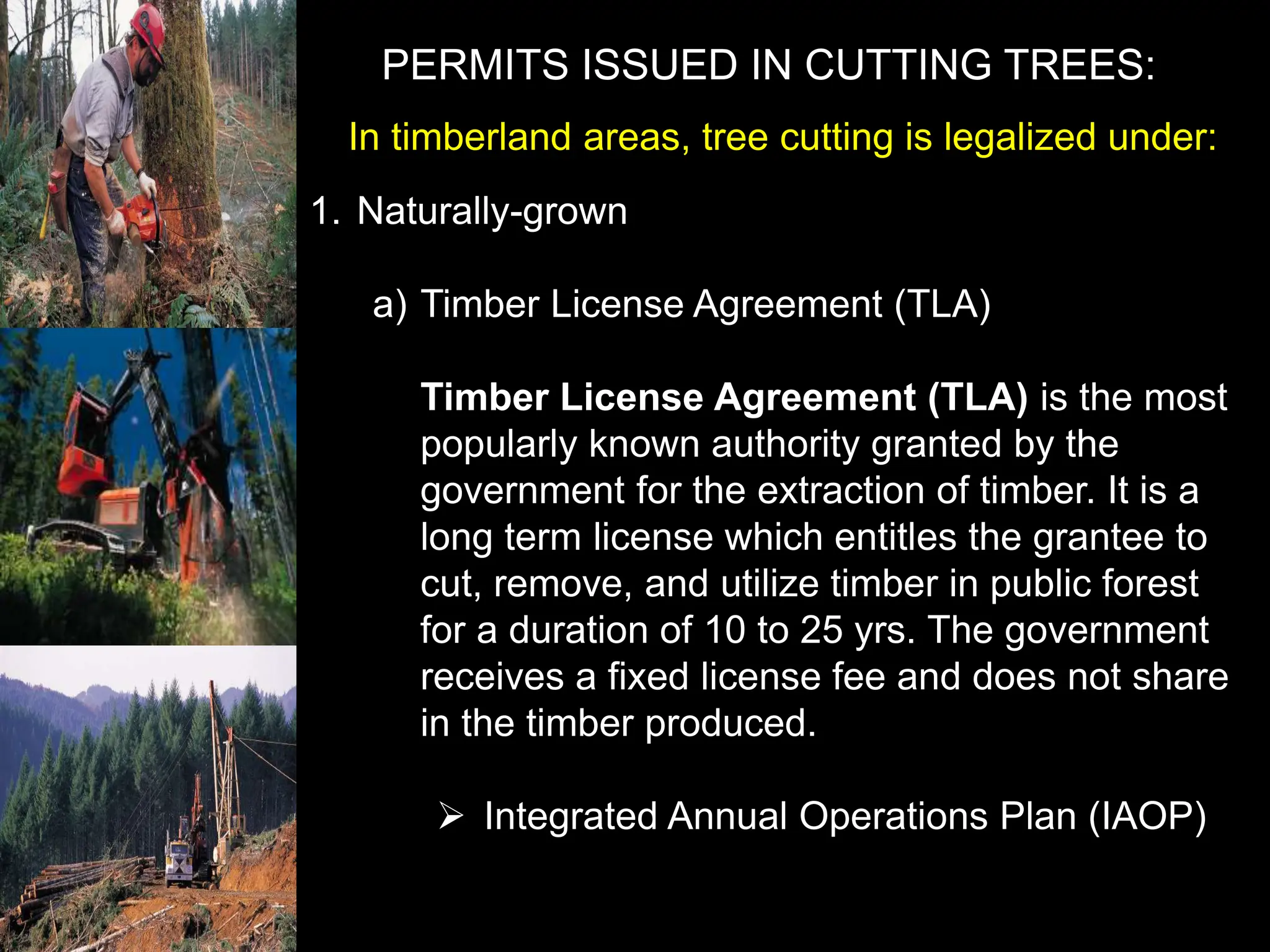 Forestry-Laws.ppt