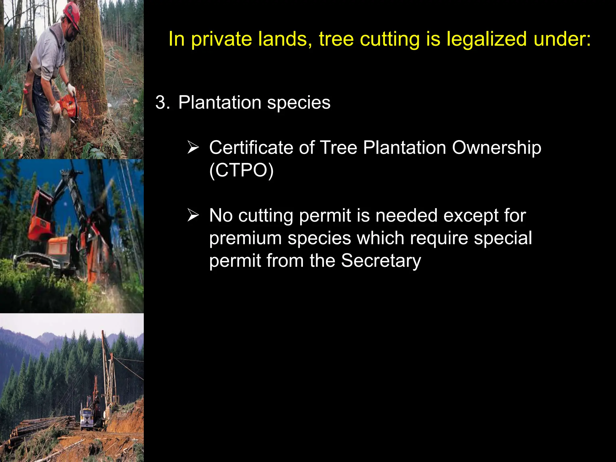 Forestry-Laws.ppt