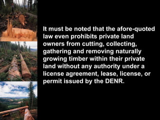 Forestry-Laws.ppt