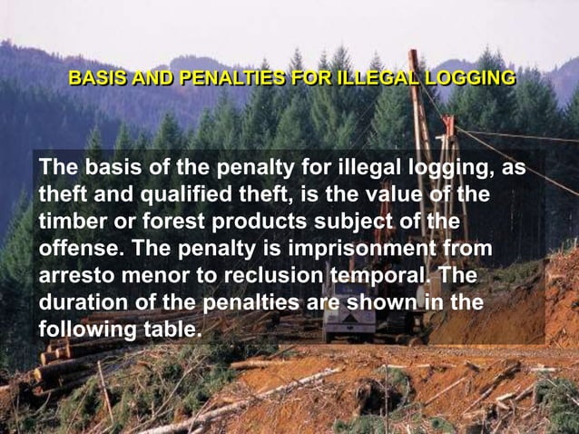 Forestry-Laws.ppt