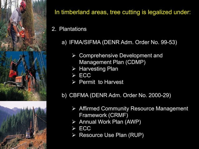 Forestry-Laws.ppt