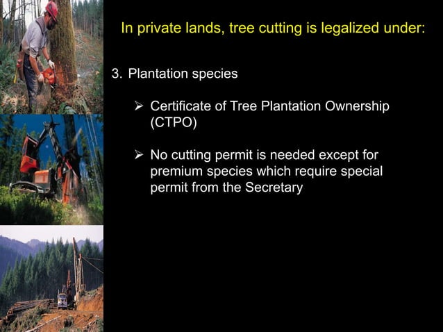 Forestry-Laws.ppt