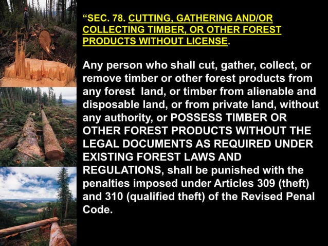 Forestry-Laws.ppt