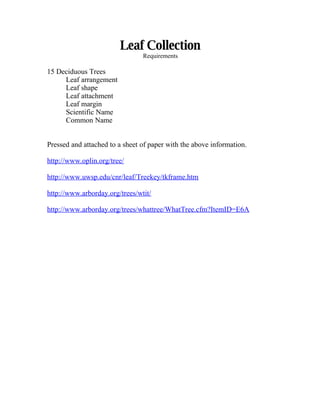 Forestry Leaf Collection | DOC
